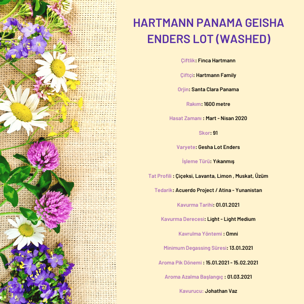 HARTMANN PANAMA GEISHA ENDERS LOT (WASHED) (100 gr) - Specific Coffee ...